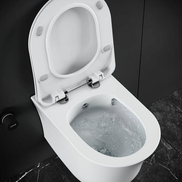 Nile Vortex Rimless Wall Hung Combined Bidet Toilet With Soft Close ...